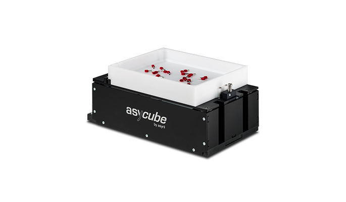 威森國際股份有限公司